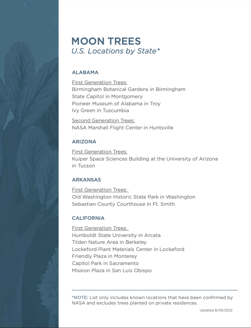 Moon Tree – CAROLYN BENNETT FRAISER
